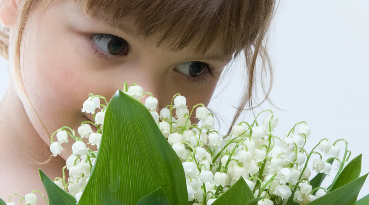 Que faire avec les enfants le 1er mai ? (activités, bricolages) | MOMES