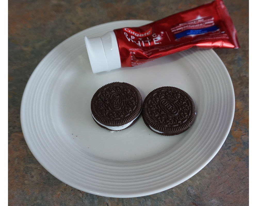 Top 15 des blagues pour le poisson d'avril à faire avec les enfants | MOMES