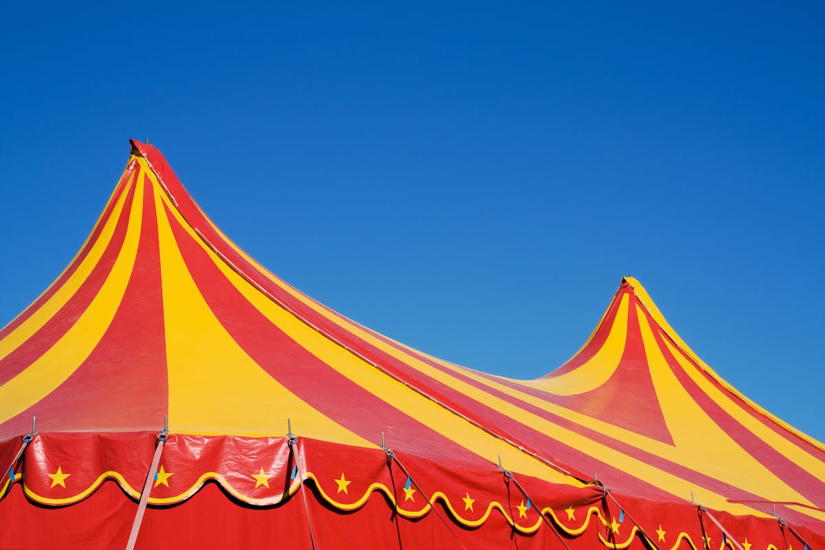 Le vocabulaire du cirque pour enfants | MOMES