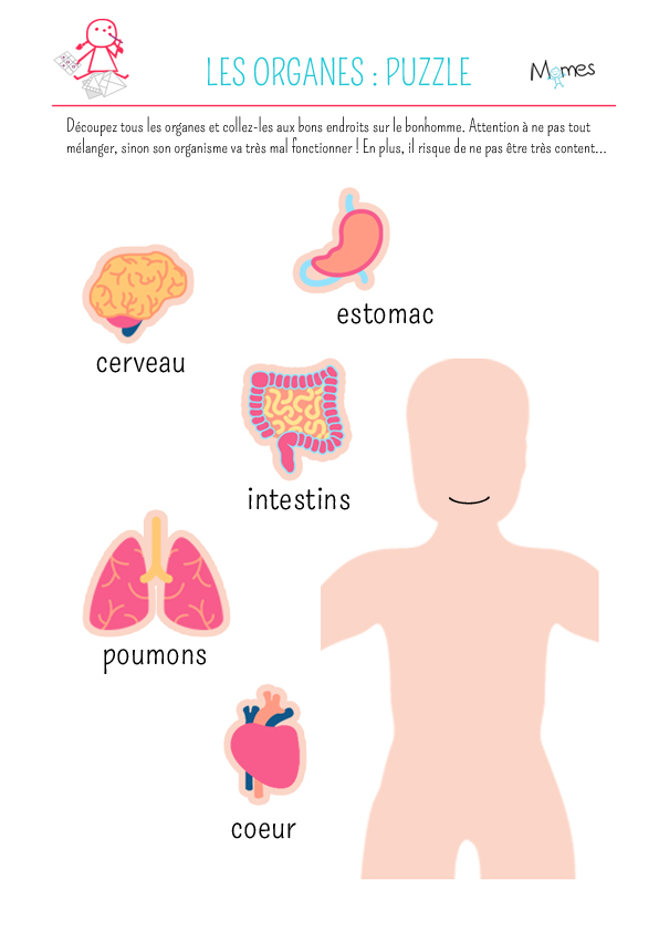 Puzzle pour apprendre les organes : un exercice rigolo et ludique ! | MOMES