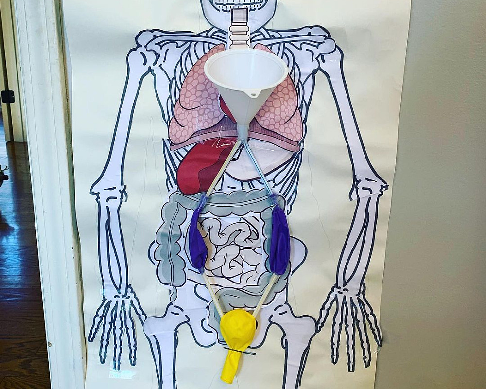 10 activités ludiques sur le corps humain | MOMES