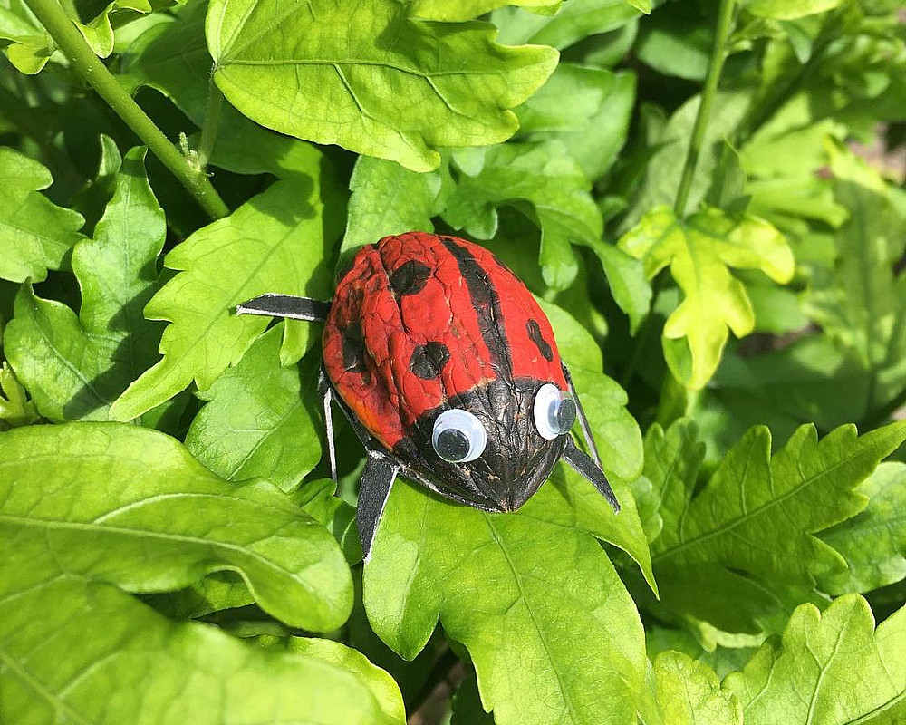 20 bricolages pour créer des insectes: abeille, papillon... | MOMES