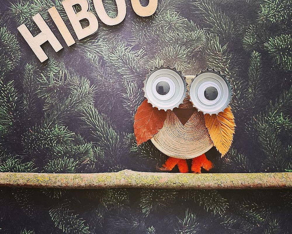 20 bricolages autour des animaux de la forêt : renard, hibou... | MOMES