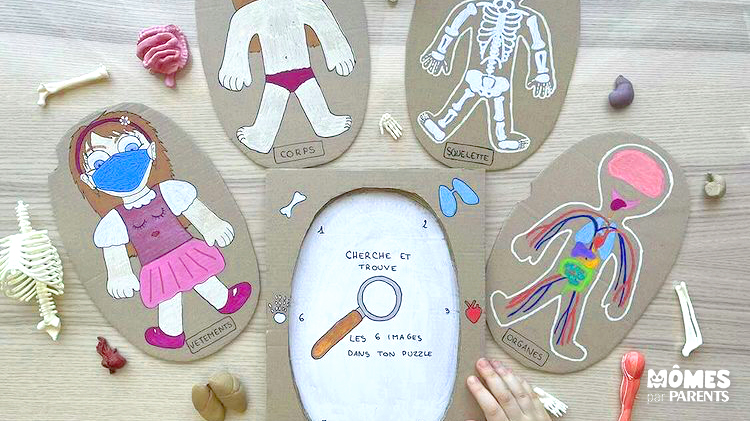 Anatomie : les organes du corps humain | MOMES