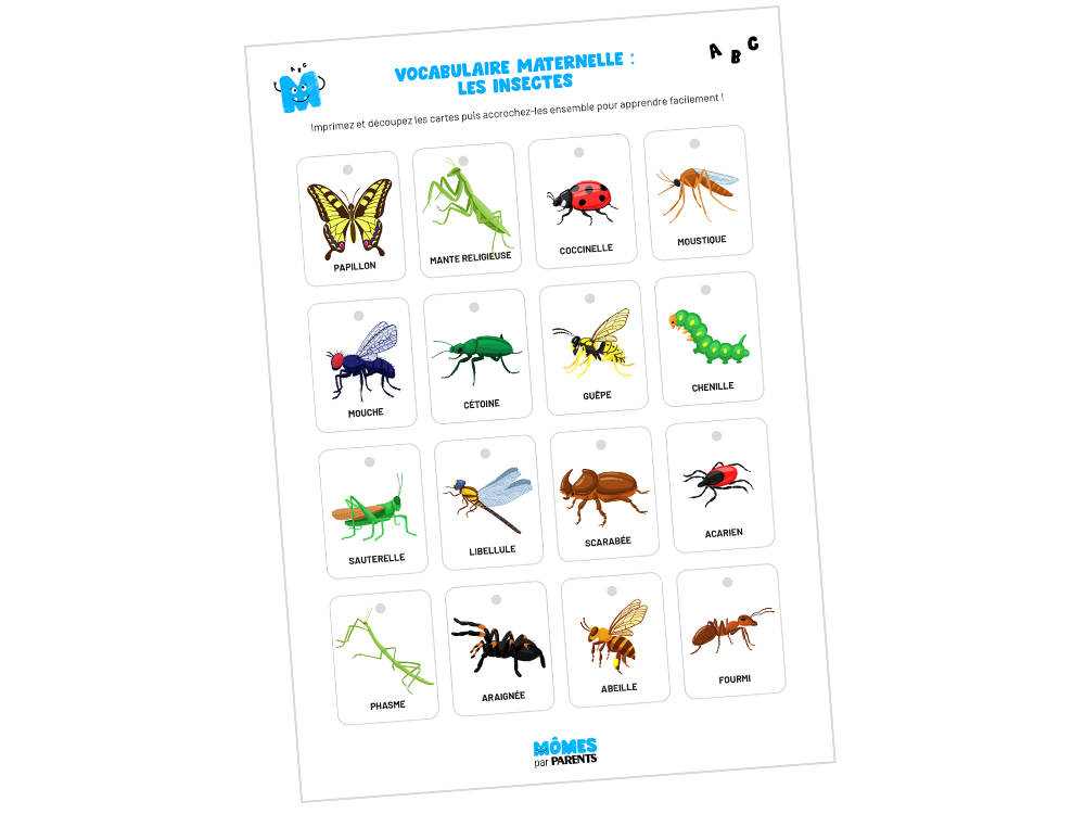 Maternelle : nos petites cartes de vocabulaire pour apprendre les noms ...