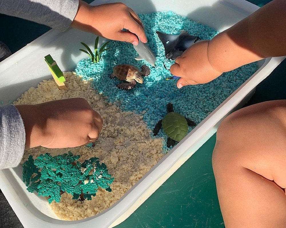 14 bacs sensoriels sur le thème de la plage et des vacances | MOMES