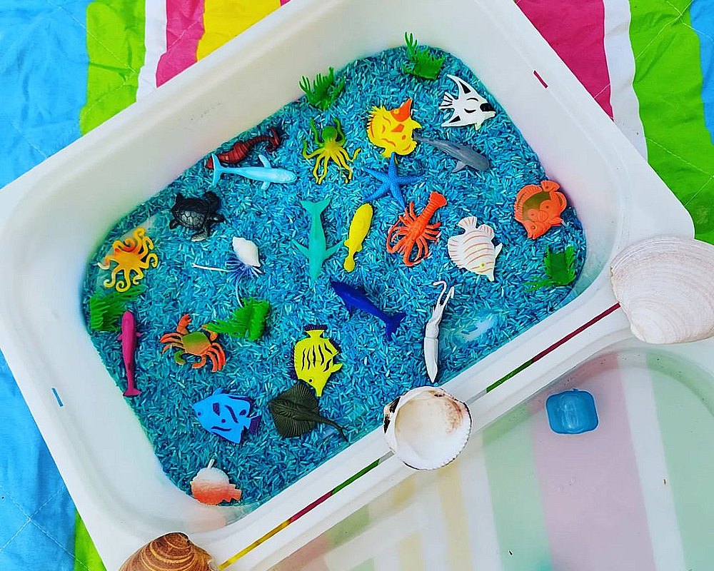 14 bacs sensoriels sur le thème de la plage et des vacances | MOMES