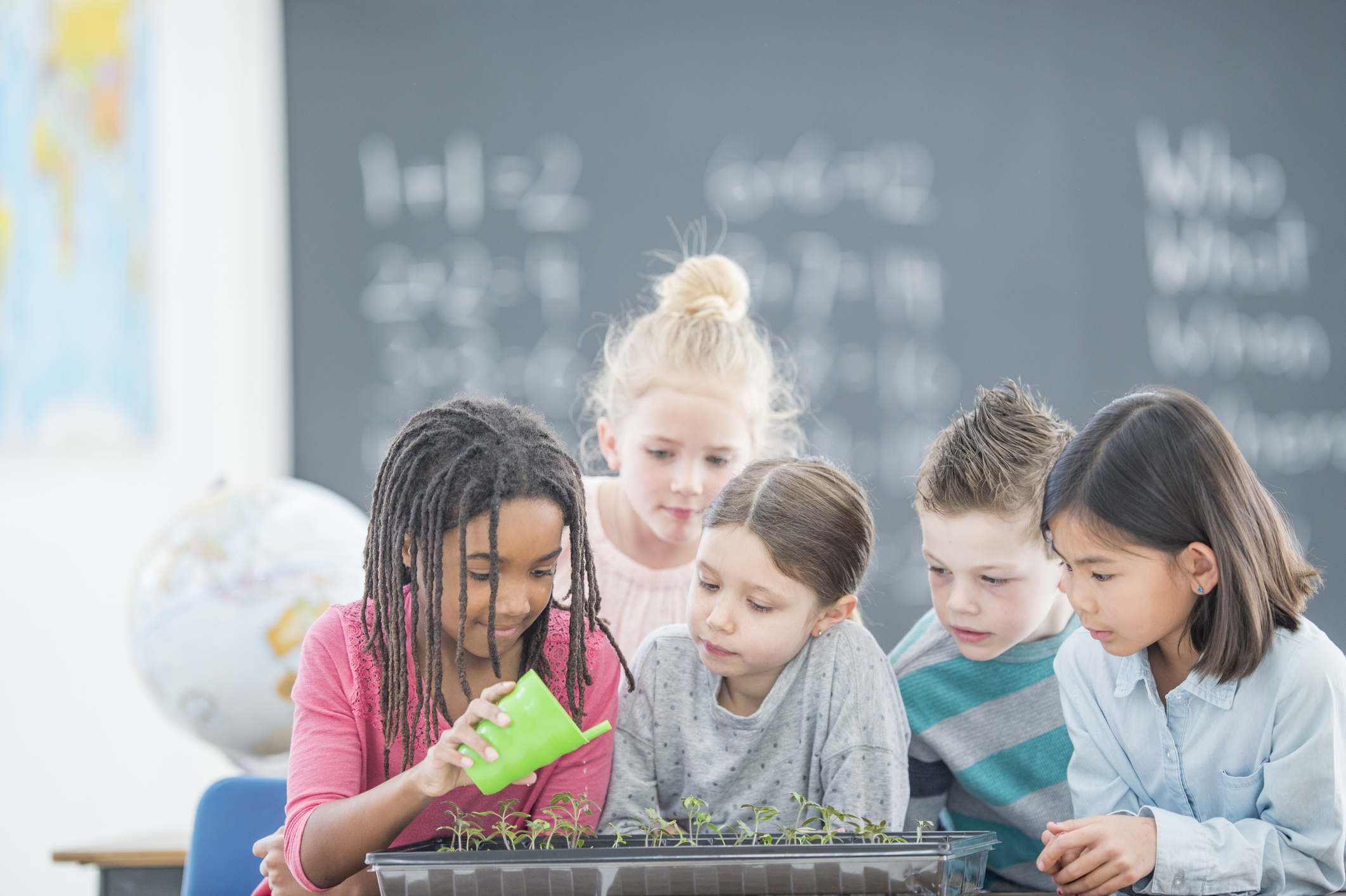 Qu'est-ce qu'un projet d'école ? | MOMES