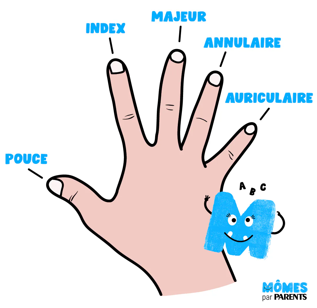 Quels Sont Les Noms Des Cinq Doigts De La Main MOMES Quels Sont Les Noms Des Cinq Doigts De La Main MOMES