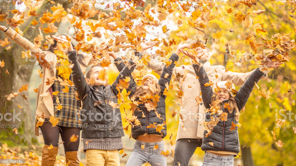 Des idées d'activités à faire avec les enfants en Novembre | MOMES