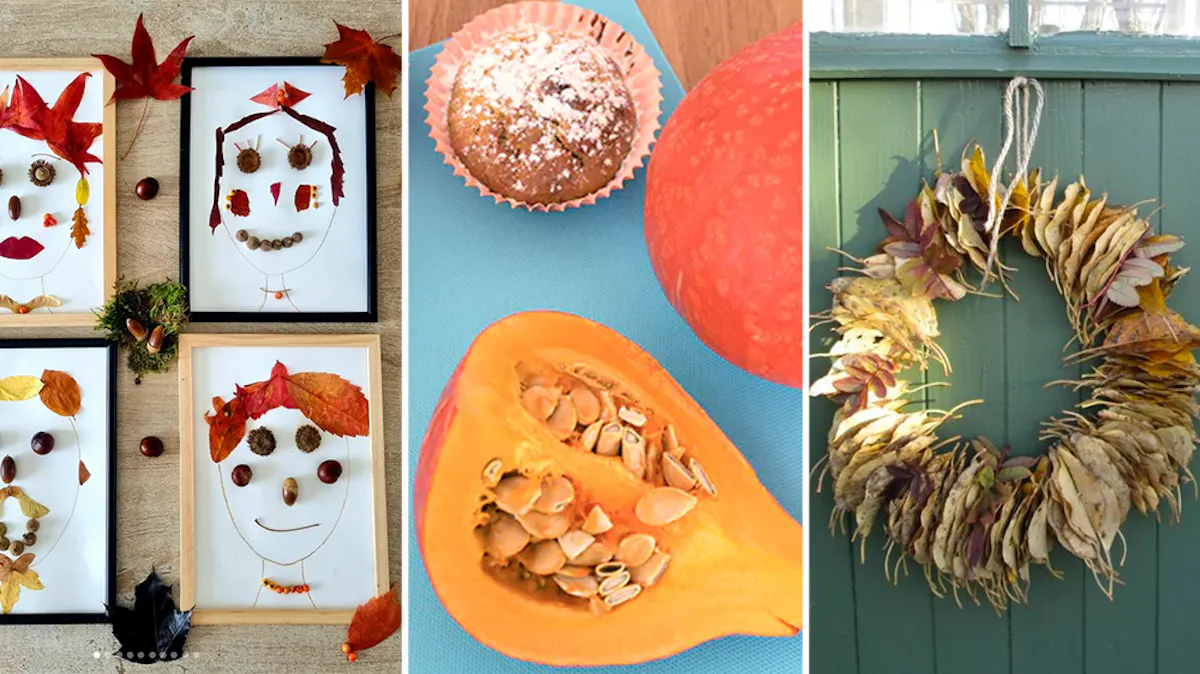 Découvrez nos idées d'activités à faire en Automne avec un enfant | MOMES