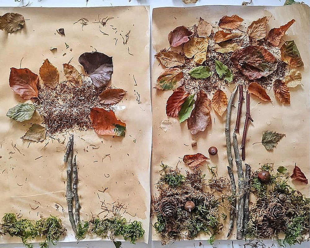 20 activités avec des feuilles d'arbre pour les enfants | MOMES