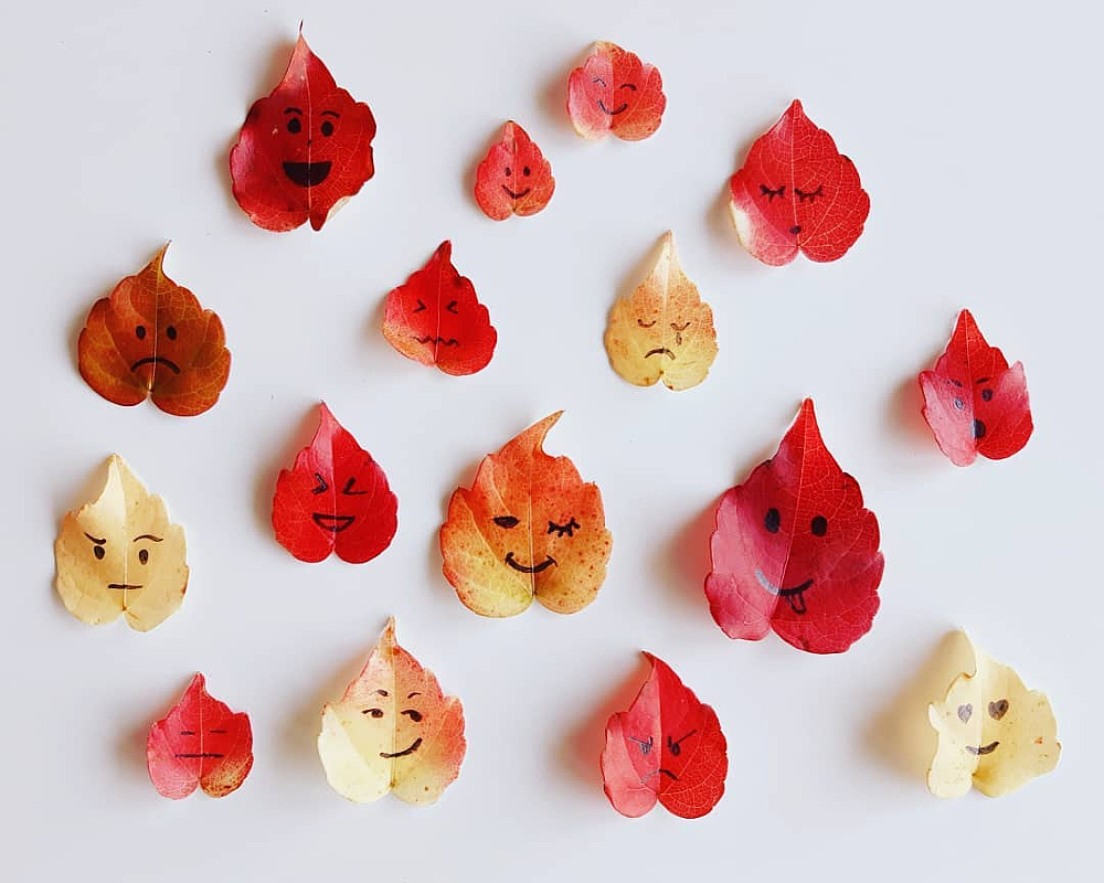 20 activités avec des feuilles d'arbre pour les enfants | MOMES