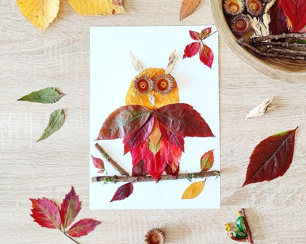 20 activités avec des feuilles d'arbre pour les enfants | MOMES