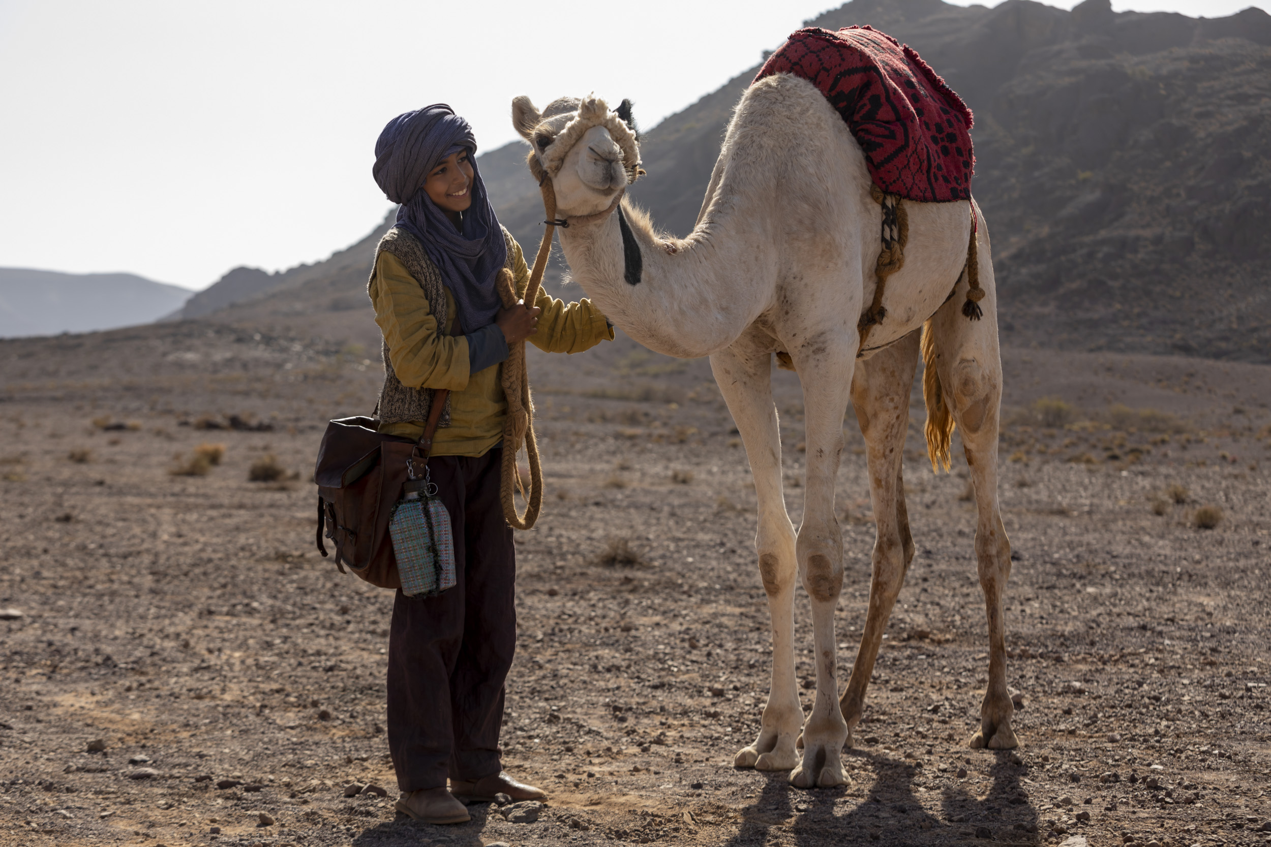 « Zodi et Téhu » : une histoire d’amitié qui dépasse les frontières | MOMES