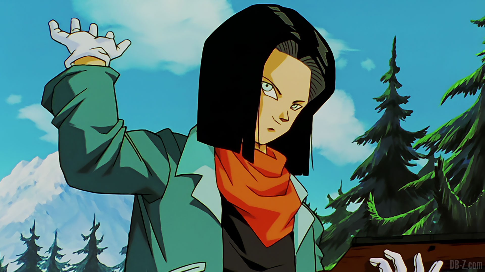 Dragon Ball : C17 | MOMES