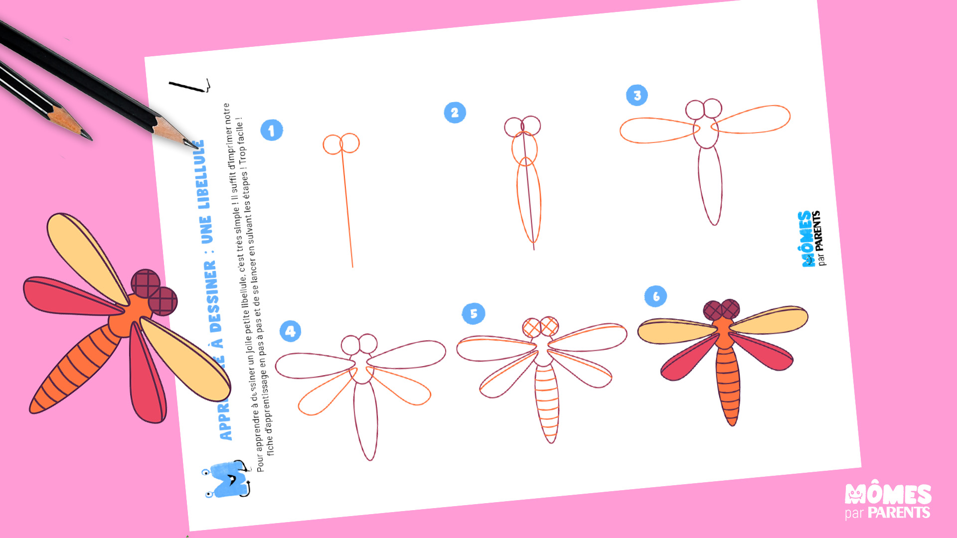 Apprendre à dessiner une libellule en pas à pas | MOMES