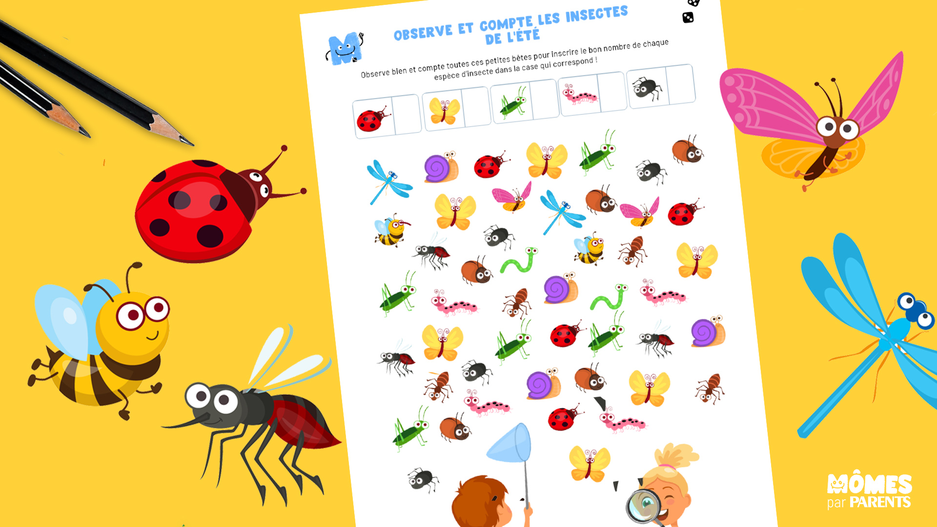 Jeu d'observation sur les insectes | MOMES