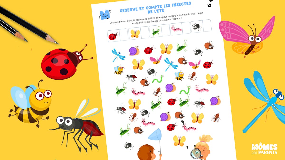 Jeu d'observation sur les insectes | MOMES