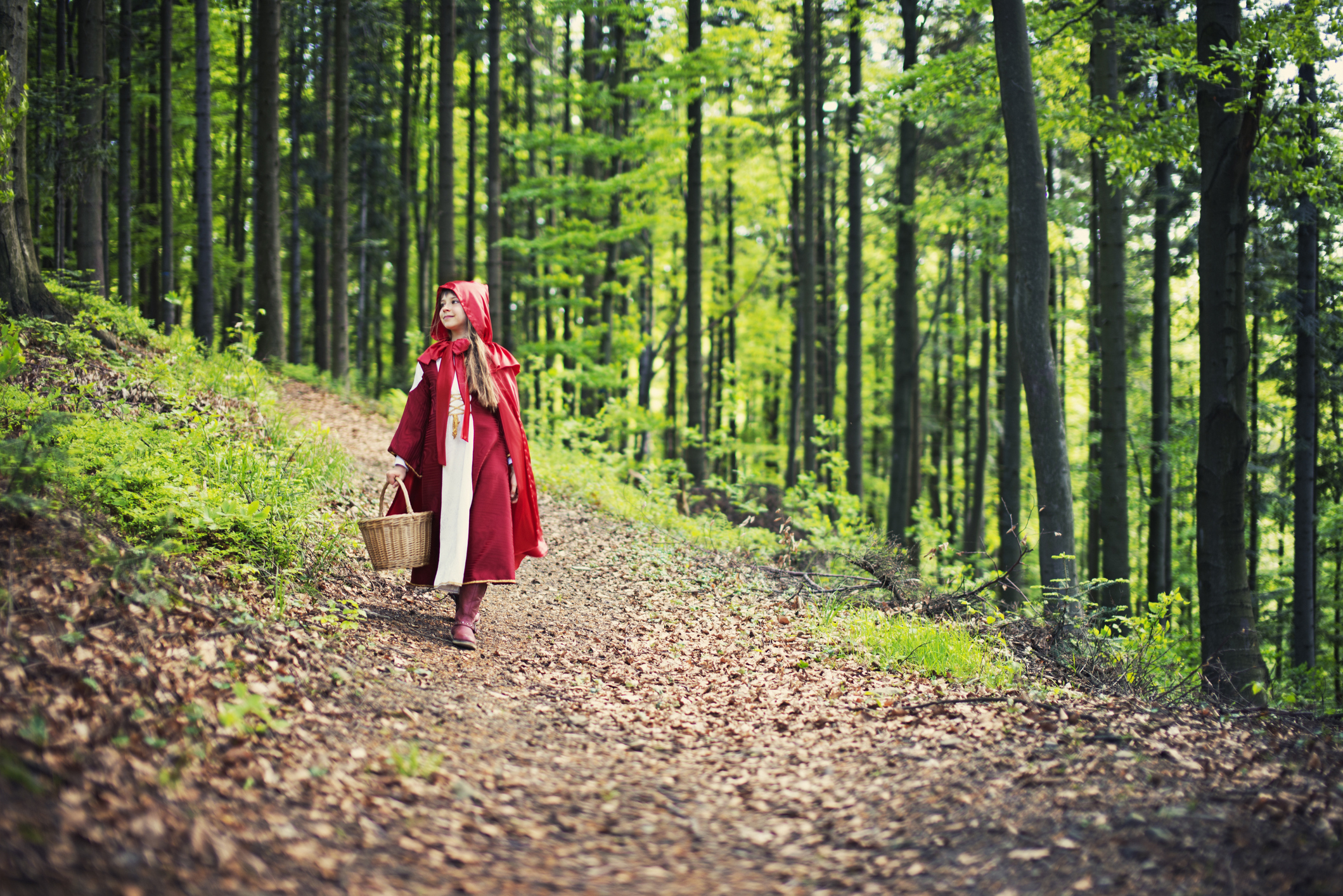 Histoire : Le Petit Chaperon Rouge | MOMES