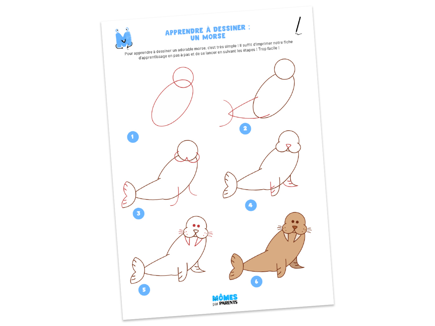 Apprenez à dessiner un morse facilement avec Mômes ! | MOMES