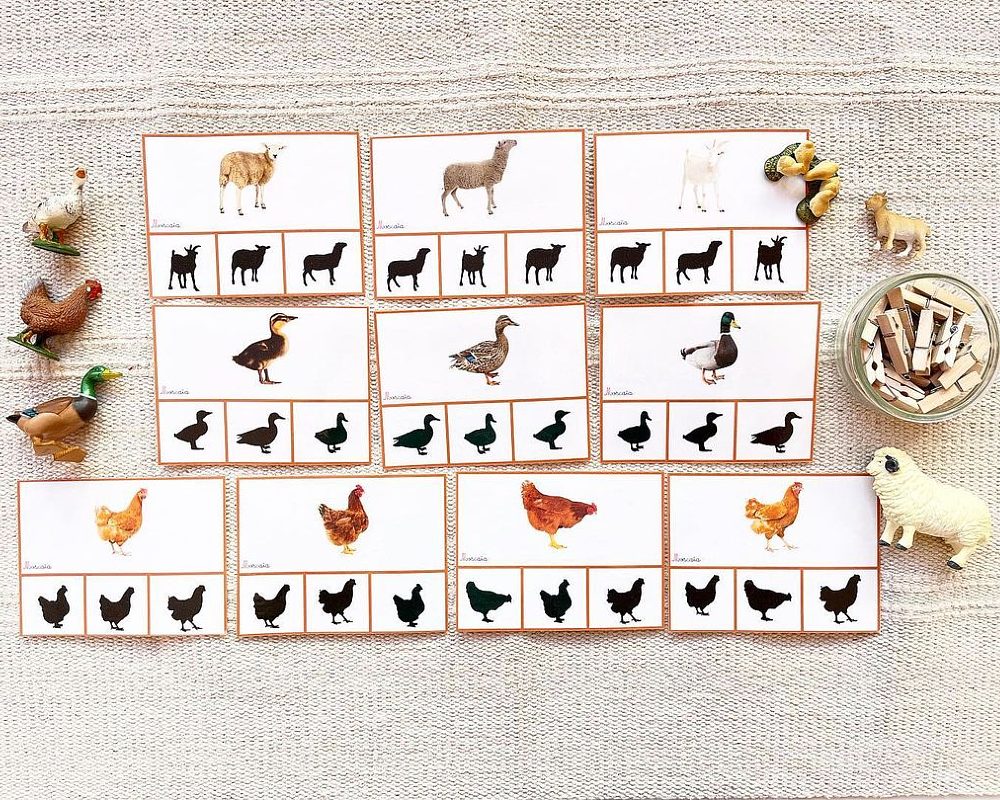 13 activités ludiques pour développer la discrimination visuelle | MOMES